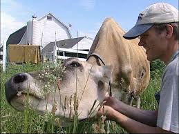 The Story of Harold Brown – Former Cattle Farmer, Now Animal Rights ...