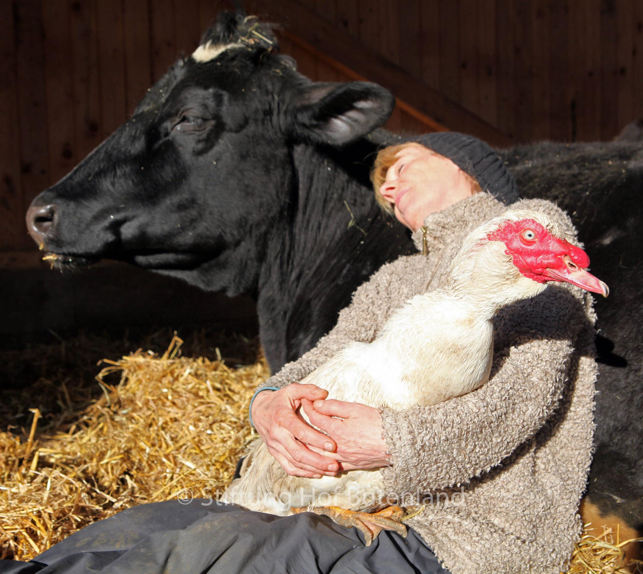 Former Dairy Farmers Now Animal Sanctuary Owners and Vegans - Humane ...