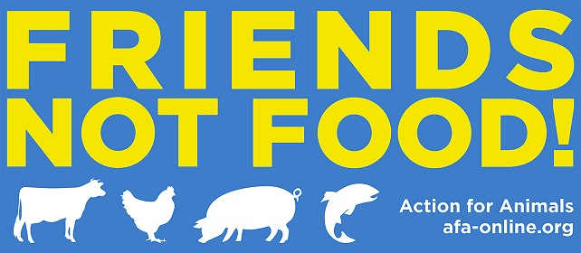 Wear Your Animal Advocacy—Everyday - Humane Decisions