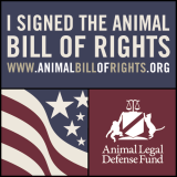 Signing Online Petitions Really Can Help Animals - Humane Decisions