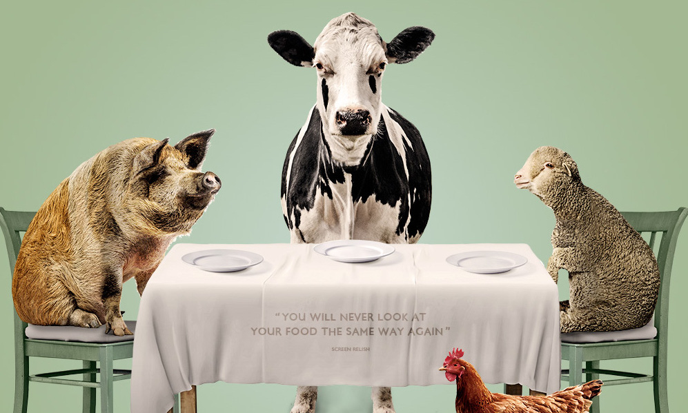 Food Choices – The Myths, the Truths and the Facts About Our Food ...