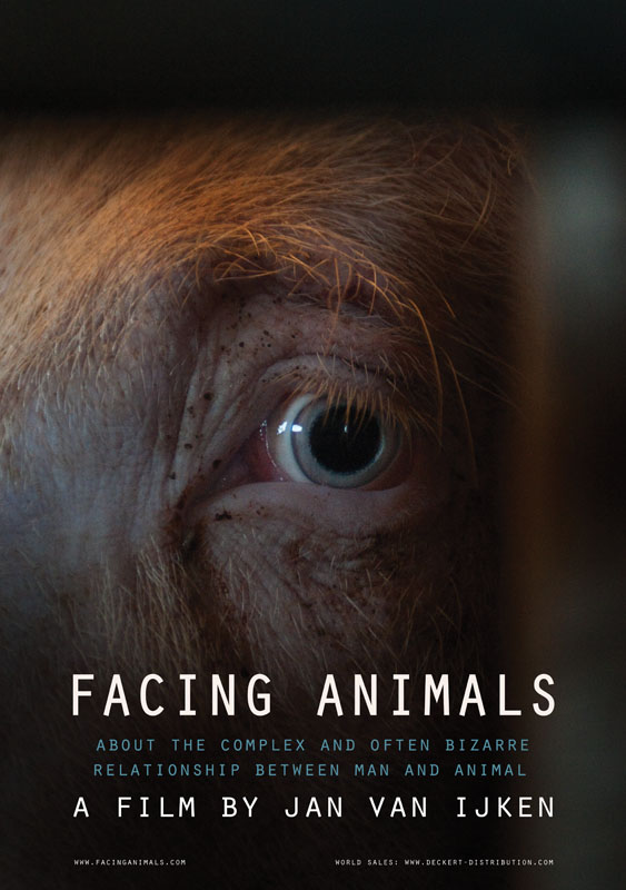 Facing Animals, An Animal’s Eye-View Perspective of Their Life - Humane ...