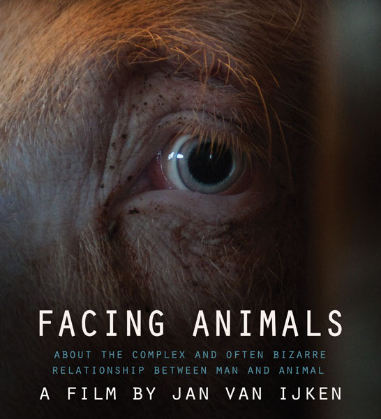Facing Animals, An Animal’s Eye-View Perspective of Their Life - Humane ...