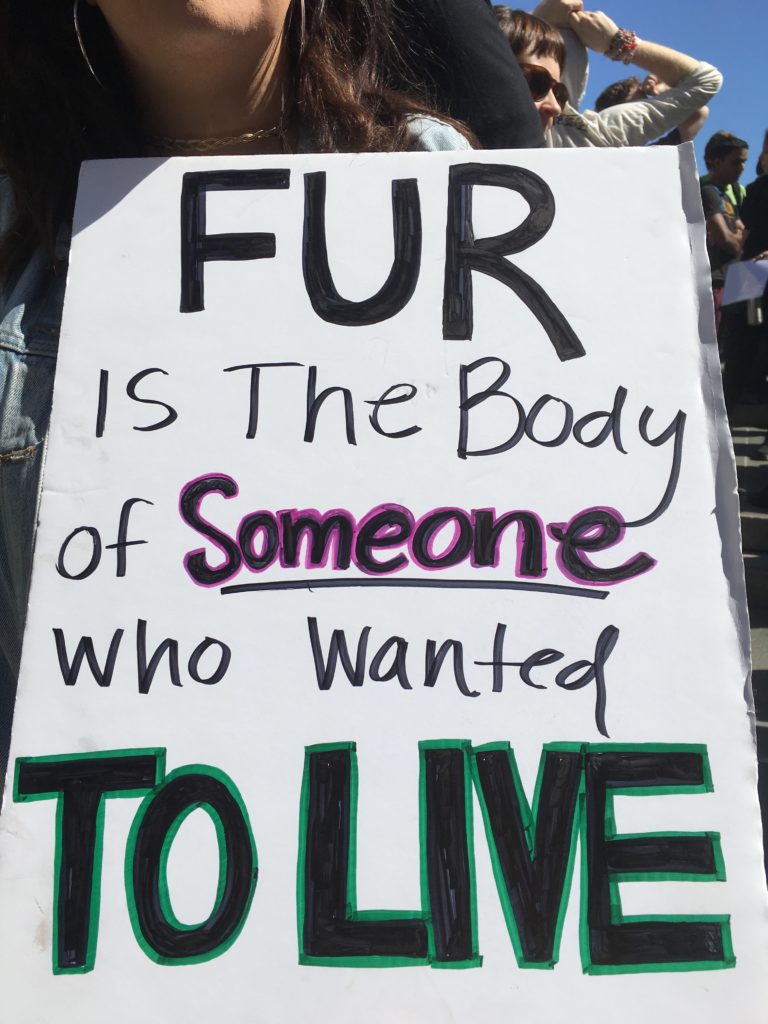 Fashion Designers Still Using Real Animal Fur - Humane Decisions