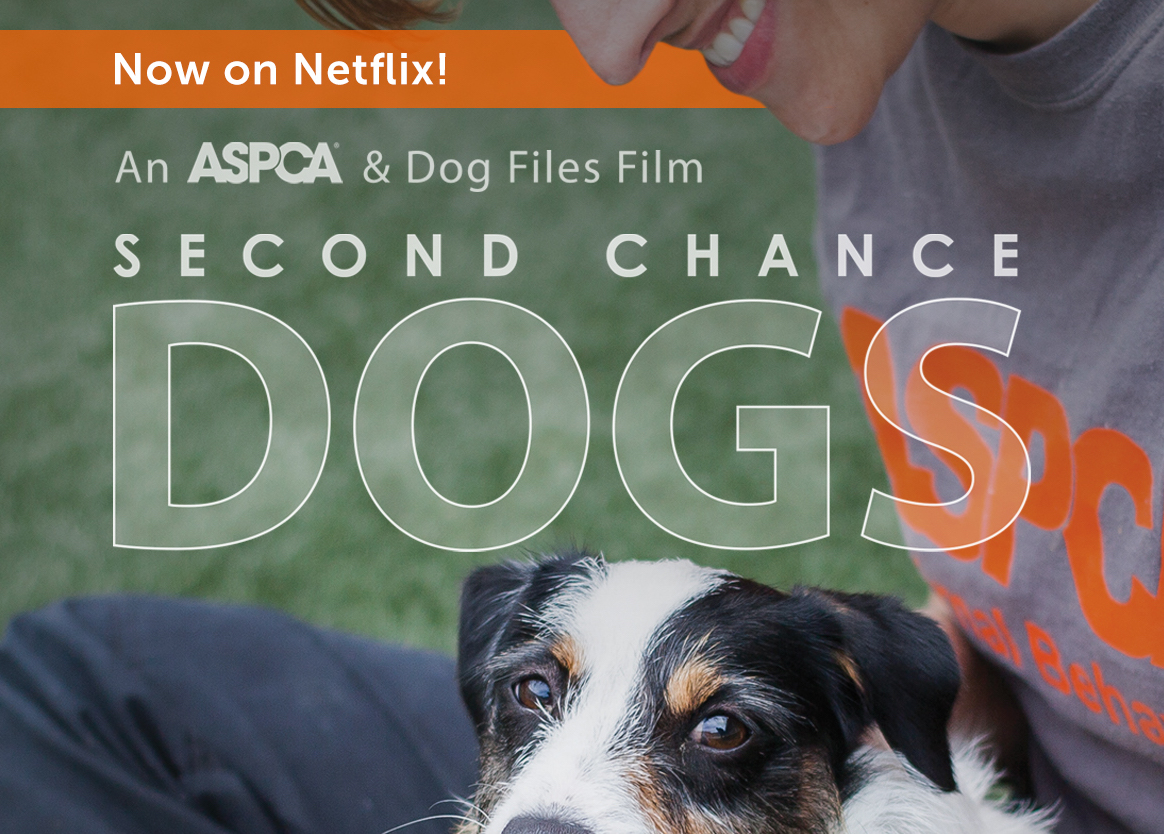 Second Chance Dogs - Humane Decisions