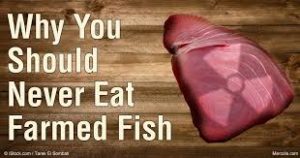 Fillet-Oh-Fish, A Film Documentary About Toxic Fish Farms and the ...