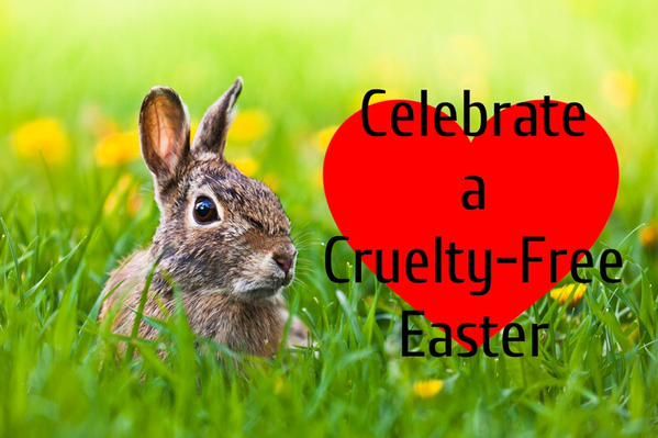 Celebrate a Cruelty-Free Easter - Humane Decisions