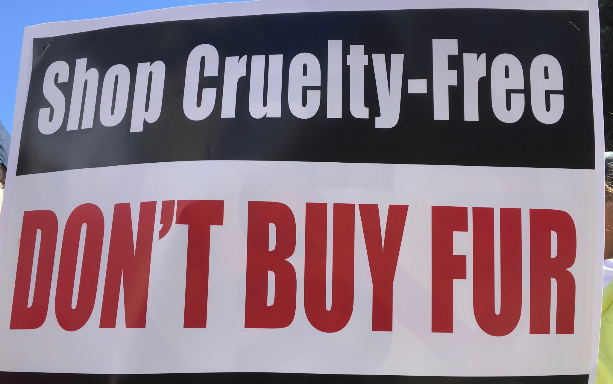 Organizations Fighting Against the Fur Trade - Humane Decisions