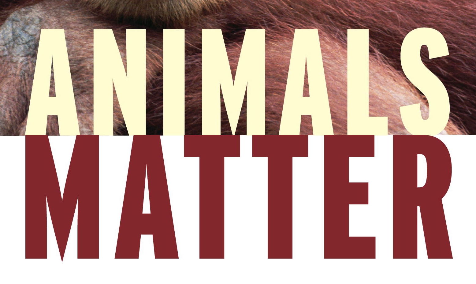 Animals Matter By Marc Bekoff - Humane Decisions